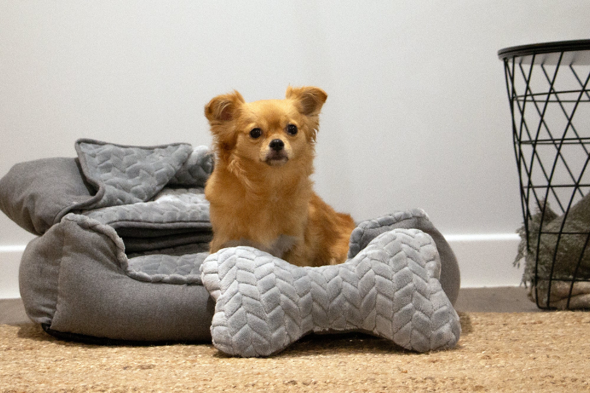 Create a Cozy Haven for Your Pup with our Cozy Cuddle Bed Set – Smiley ...